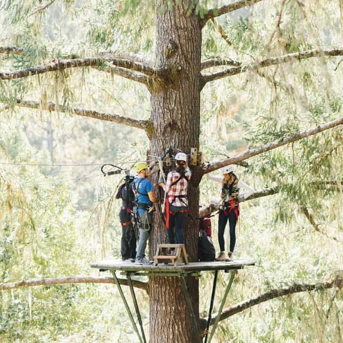 Group Canopy & Zipline Tours | Personal Events Or Team Building