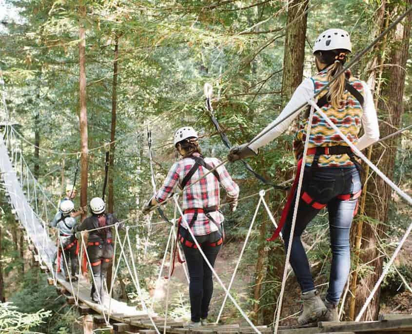 Forest Flight Zipline Tour | Zip Lines In The Redwood Canopy