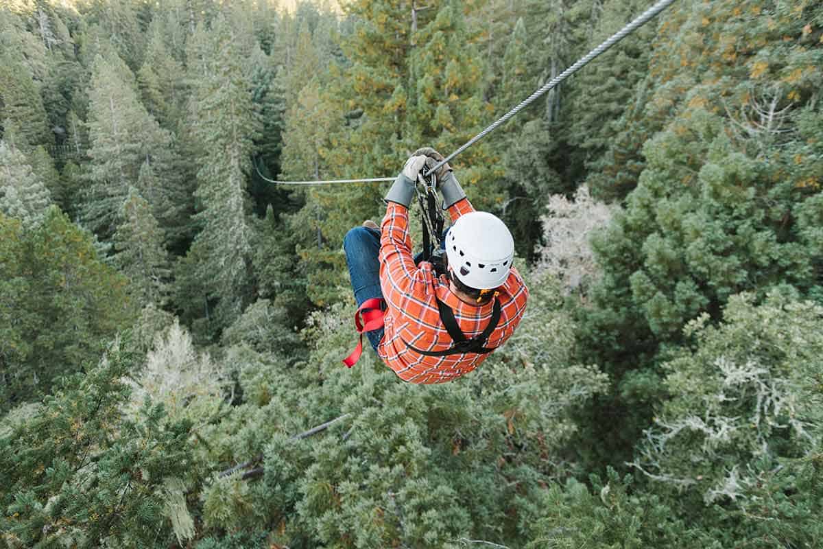 Forest Flight Zipline Tour | Zip Lines In The Redwood Canopy