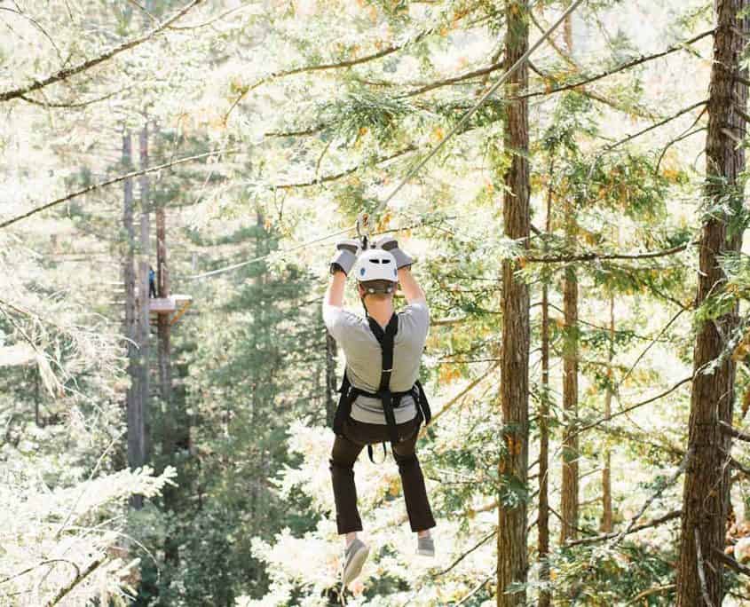 Tree Tops Zipline Tour | 7 Zip Lines & 2 Sky Bridges