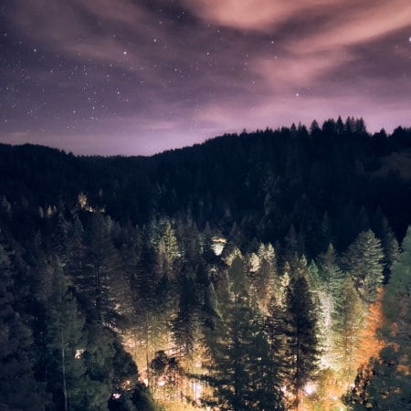 Night Flight Zipline Canopy Tour Course | At Sunset Or Night