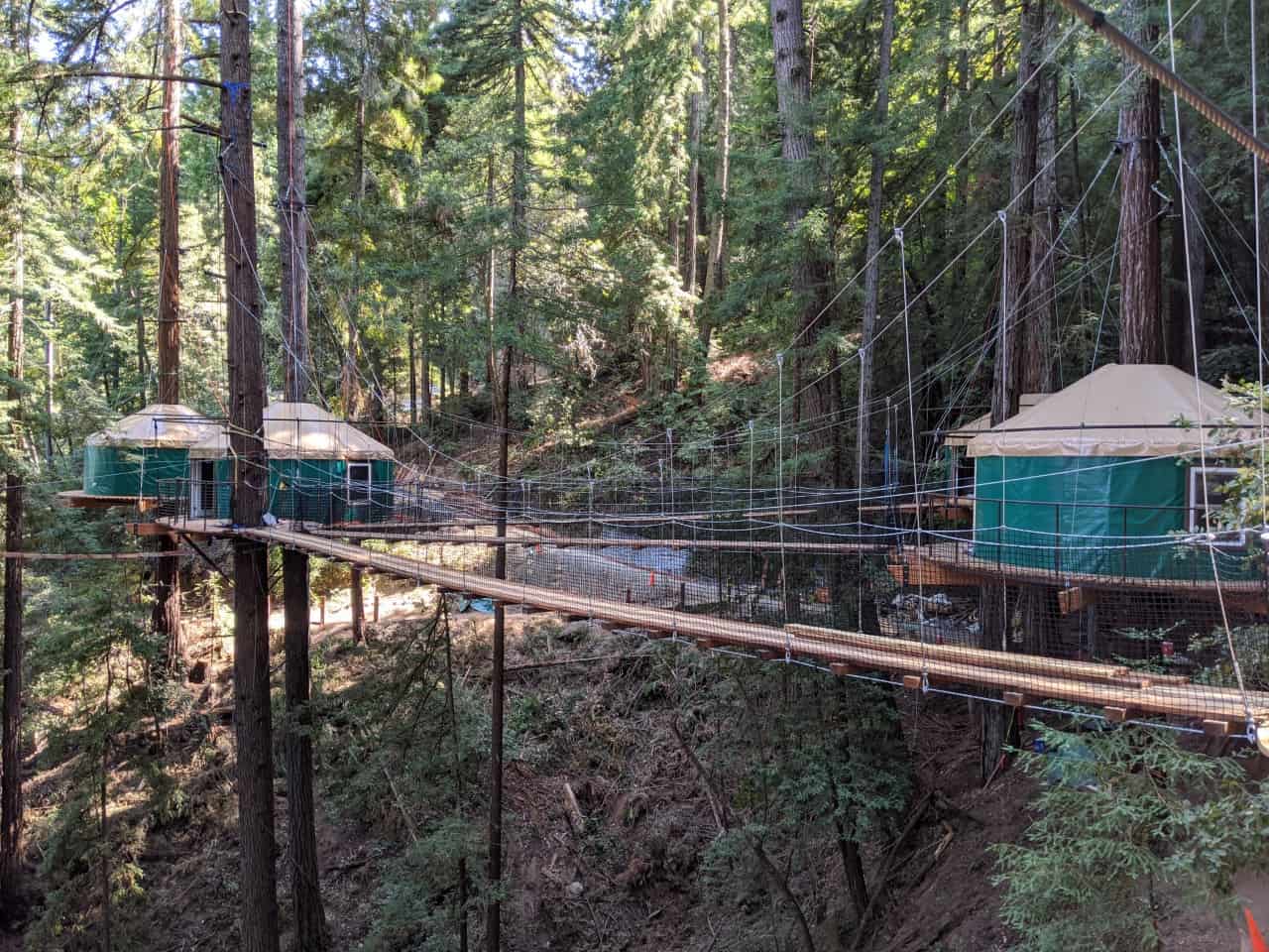 Full Day Zipline Adventure Sonoma, CA | Sonoma Canopy Tours