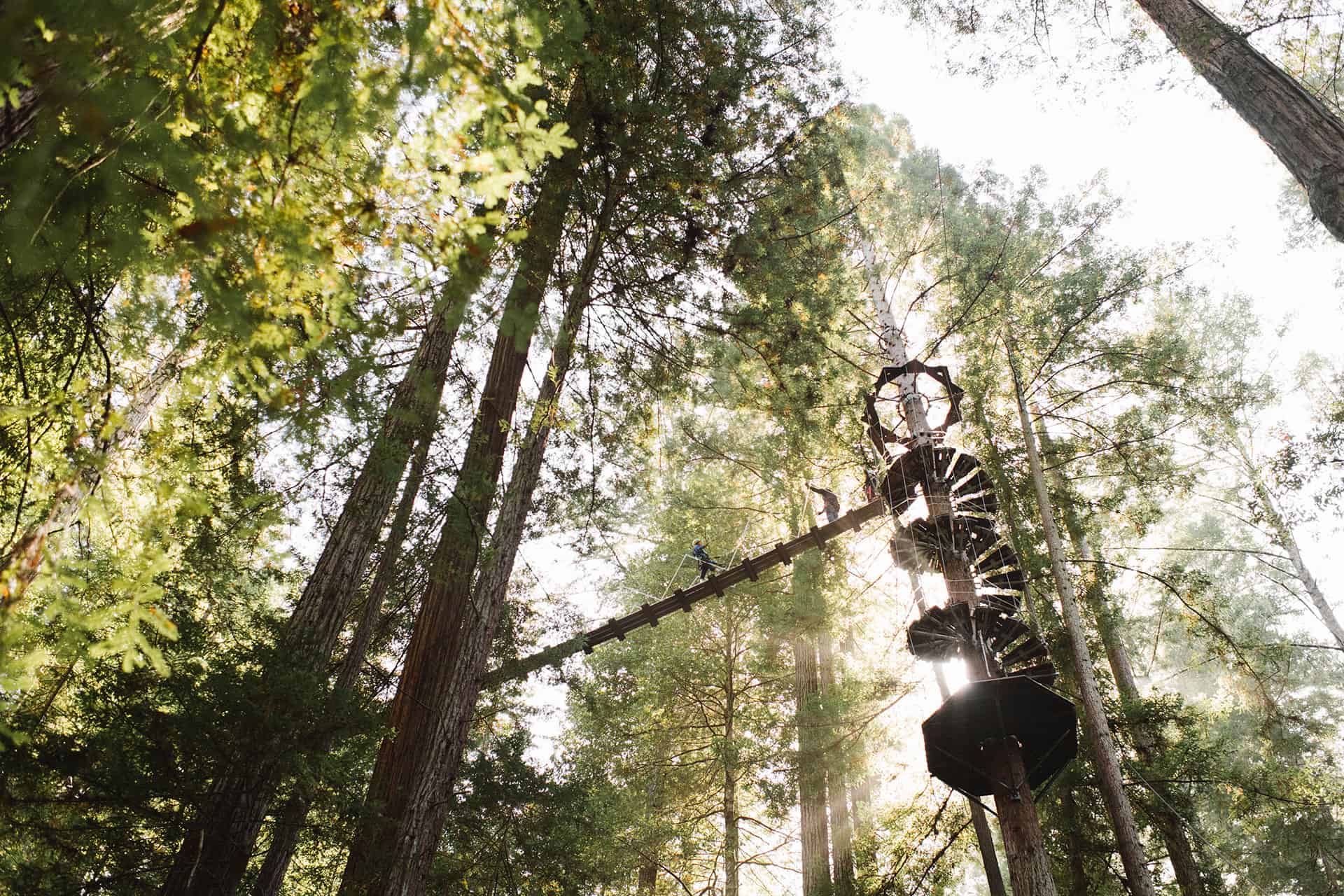 Five Keys to a Luxury Treehouse - Sonoma Zipline Adventures