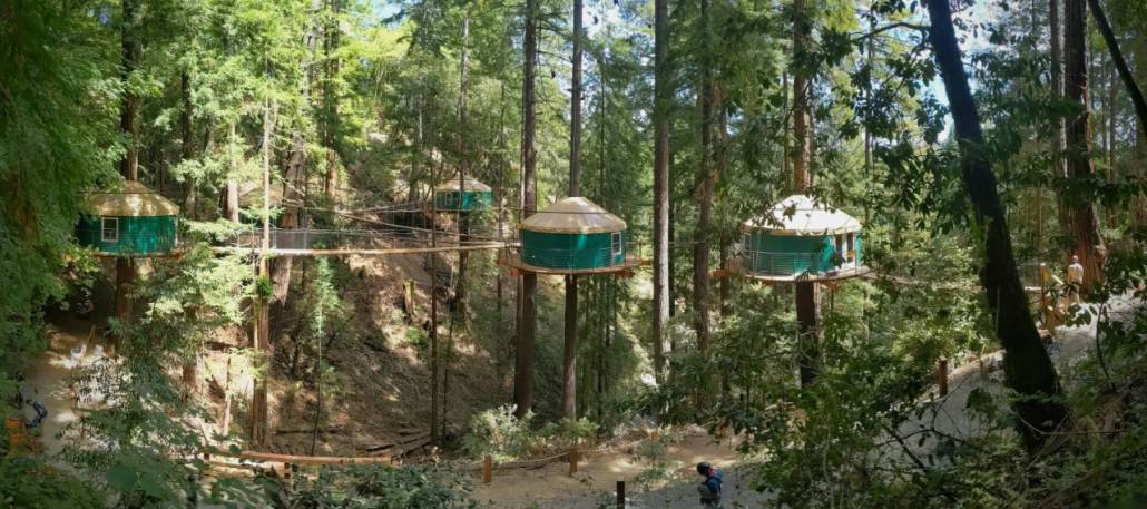 Five Keys to a Luxury Treehouse - Sonoma Zipline Adventures