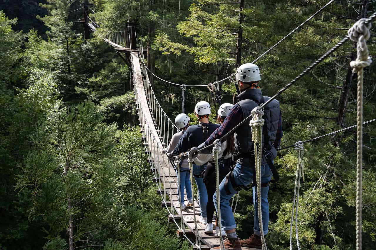 Full Day Zipline Adventure Sonoma, CA | Sonoma Canopy Tours