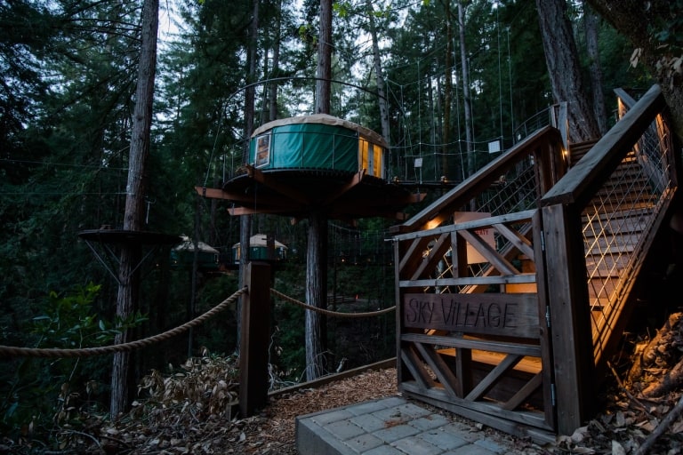 Treehouse Stays at Sonoma Zipline Adventures